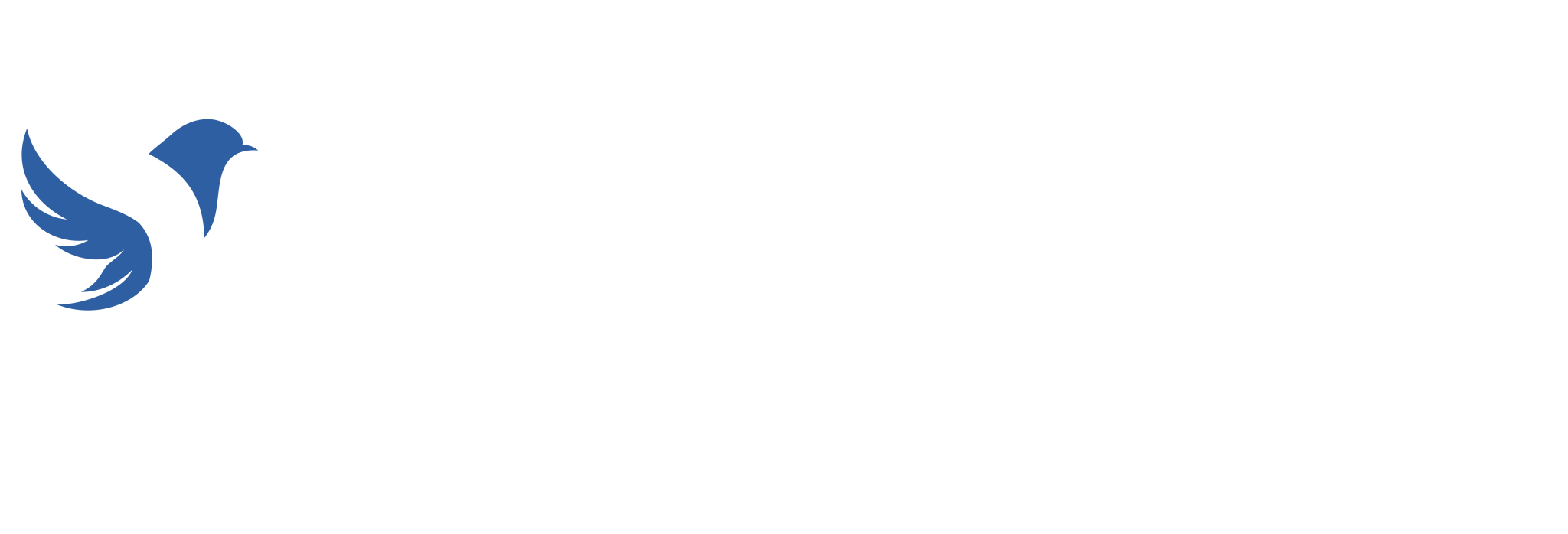 Who We Are - Sparrow Academy